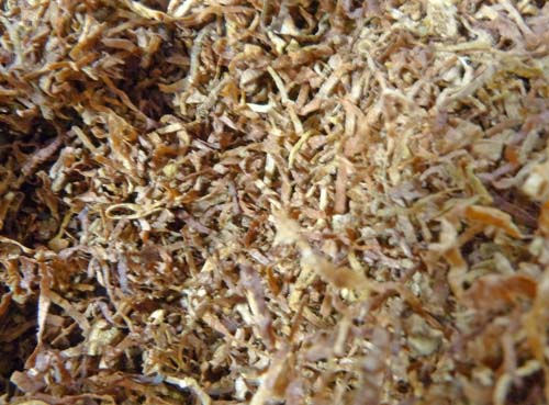 Tabak informatie - Sigarettenmaker Shop